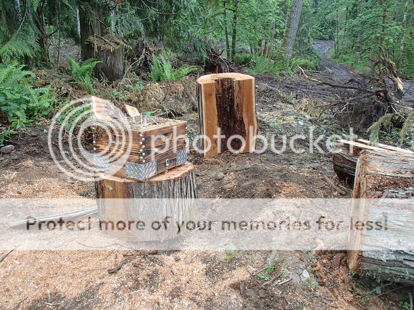 Persistent Varroa | Page 8 | Beesource Beekeeping Forums